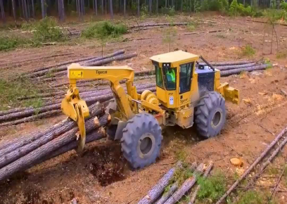 Logging - KSL-Sawmills Limited